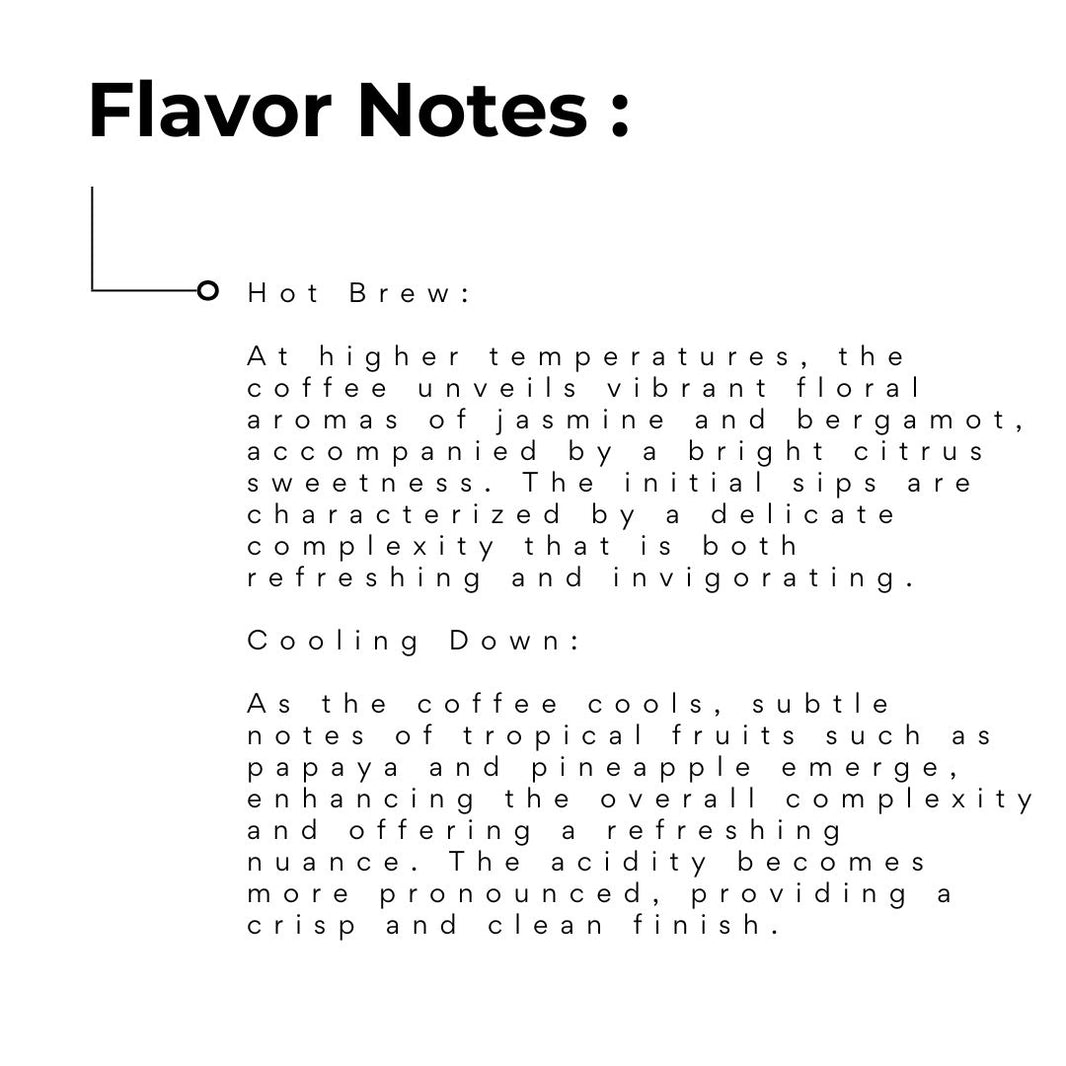 Tasse Coffee Roastery - Must Go Coffee Shop in Tokyo, Japan