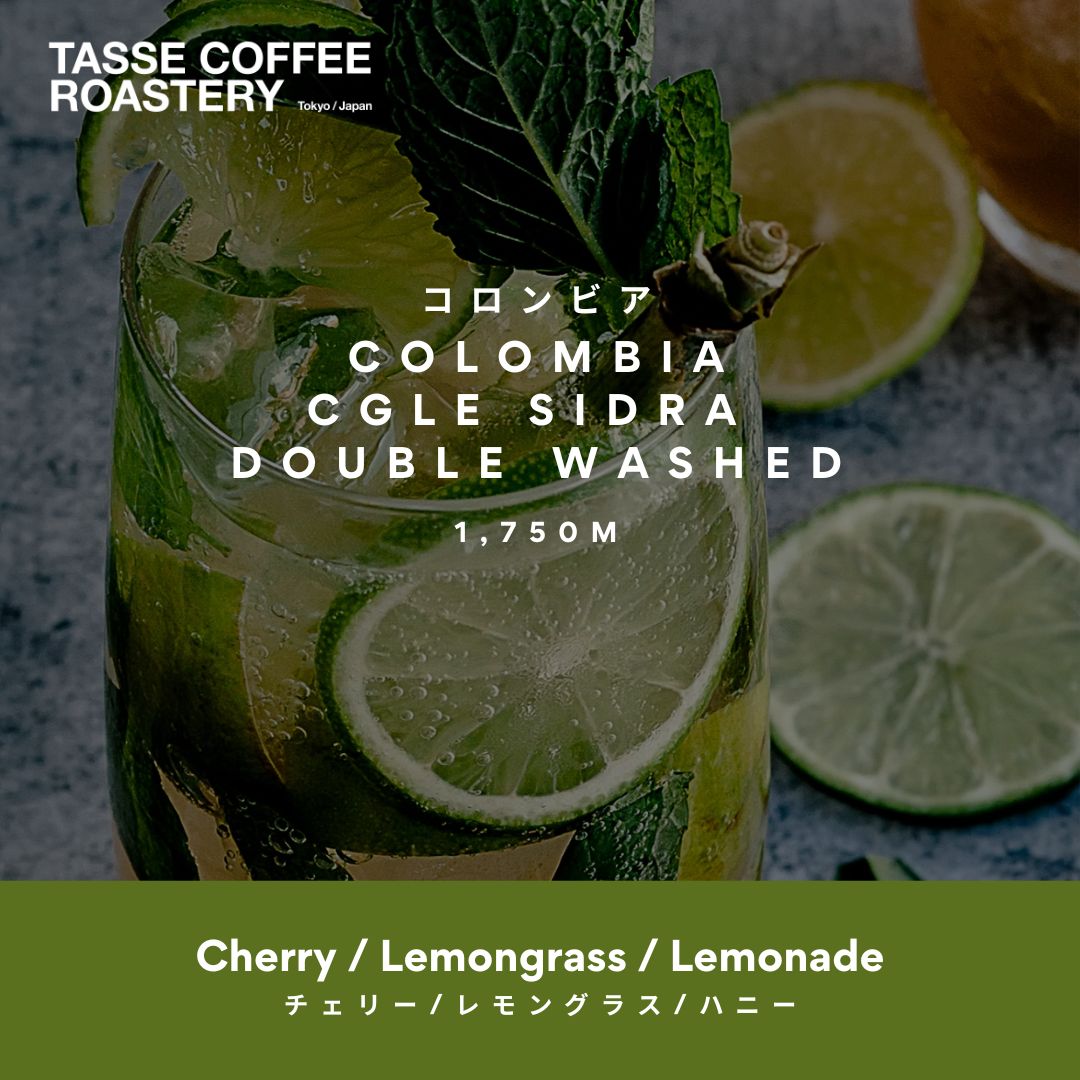 Colombia CGLE Sidra — Double Washed (1,750m) – Tasse Coffee Roastery