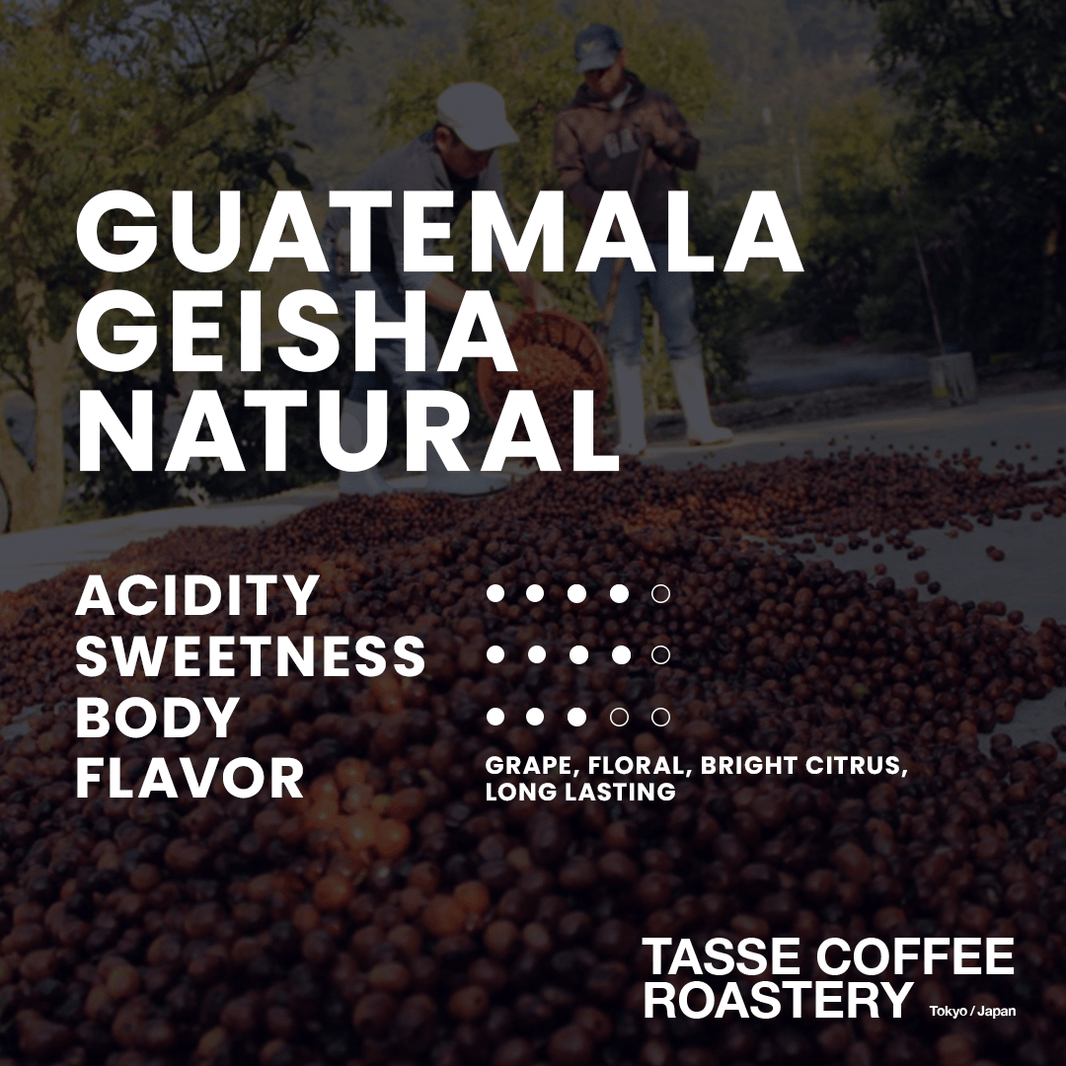 Tasse Coffee Roastery - Must Go Coffee Shop in Tokyo, Japan